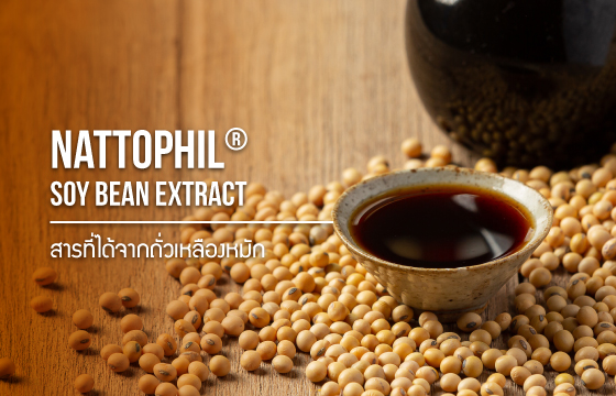 สารจากถั่วเหลืองหมัก / Soy Bean Extract