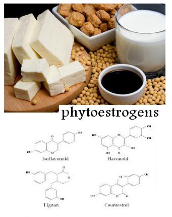 Phytoestrogen / ไฟโตอีสโตรเจน - Food Wiki | Food Network Solution